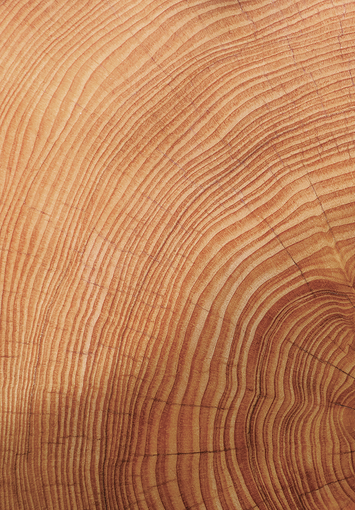 Woodgrain Metal Finishes for Modern Facades | ALUCOBOND